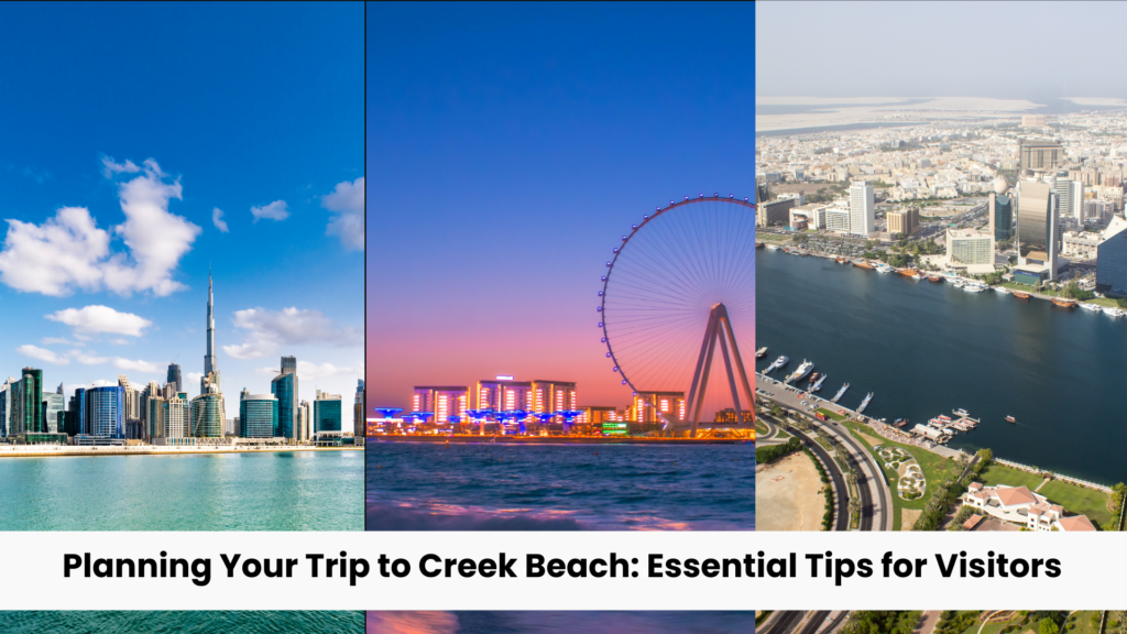 Planning Your Trip to Creek Beach: Essential Tips for Visitors ...